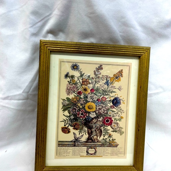 robert furber | Art | Vintage Robert Furber Flowers Of September Floral ...